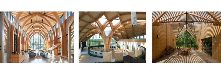 Wholesale Structural Wood Timber Glulam Beams Manufacturer and Supplier ...